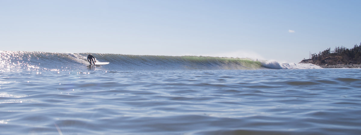 Anything is Possible by Tom Terrell - Bing Surfboards